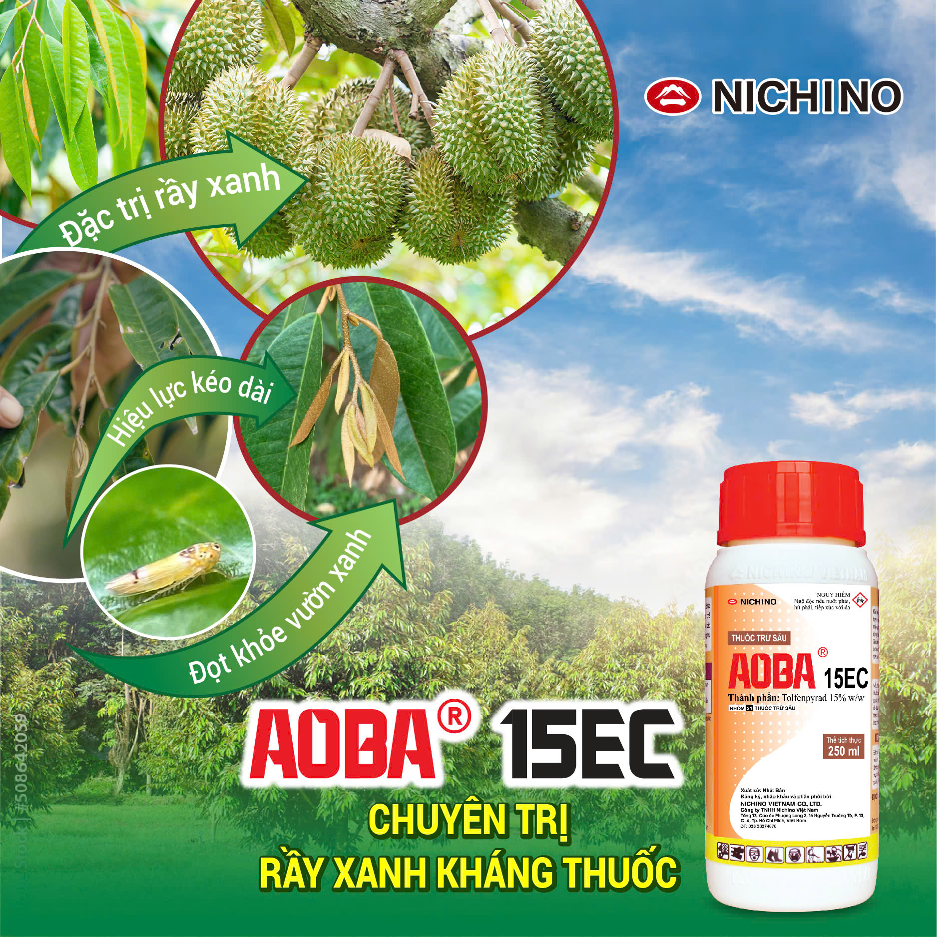 Chuyện gì xảy ra khi rầy xanh gặp thuốc trừ sâu AOBA® 15EC của Nichino Việt Nam?